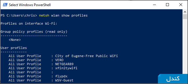 netsh wlan show profiles | فروش و خدمات دل در ایران